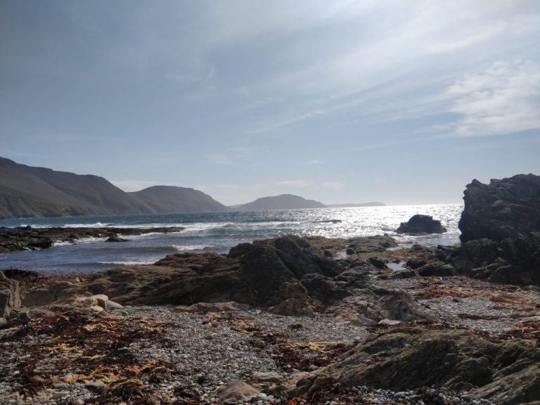 SELOC | Lotus Enthusiasts Club